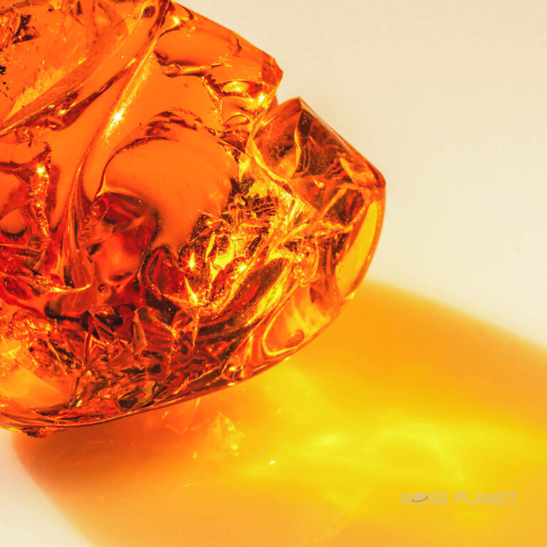 Amber core 琥珀芯 - 鼻子星球